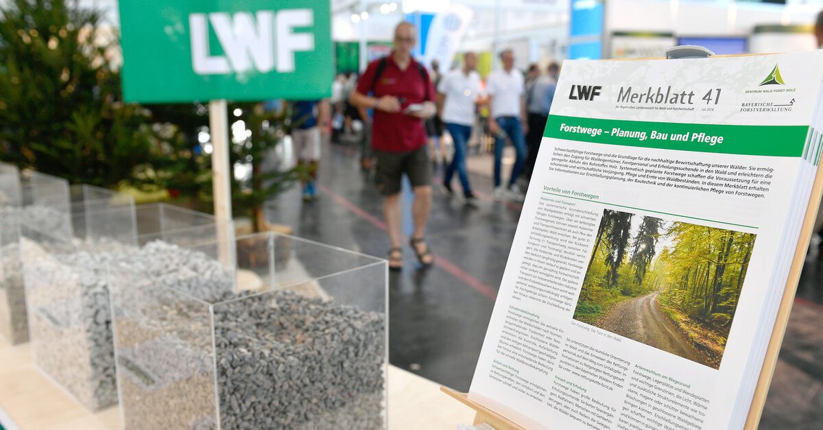 Solutions for Protective Forests | INTERFORST