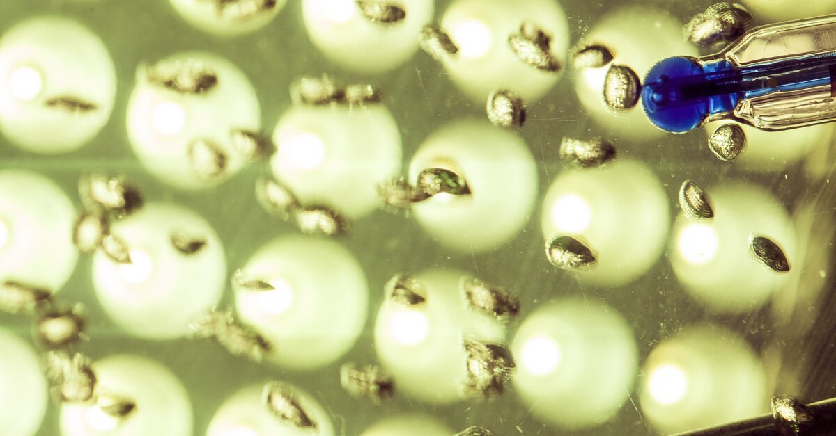 Bioanalysis: methods and technologies of the future